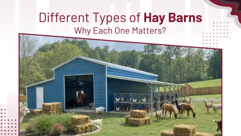 Which Hay Barn Type Fits Your Needs? A Complete Guide